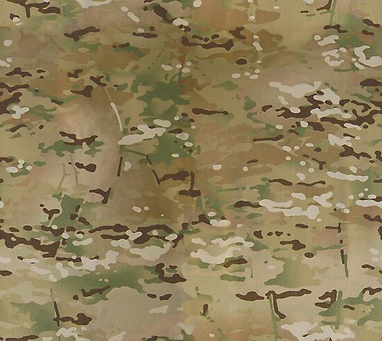 "Multicam" Photographic Print by Pattyice | Redbubble