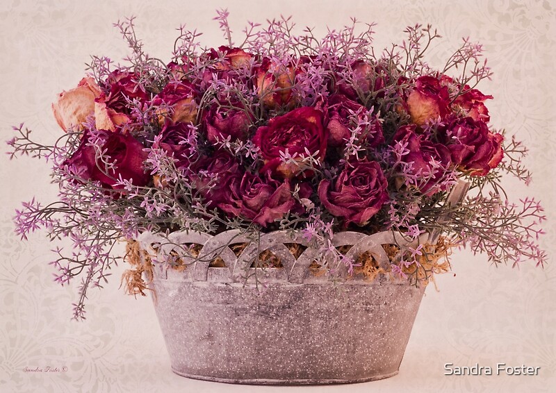 "Pink Dried Roses Floral Arrangement" by Sandra Foster | Redbubble
