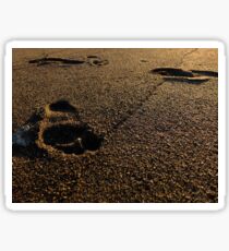 Footprints: Stickers | Redbubble
