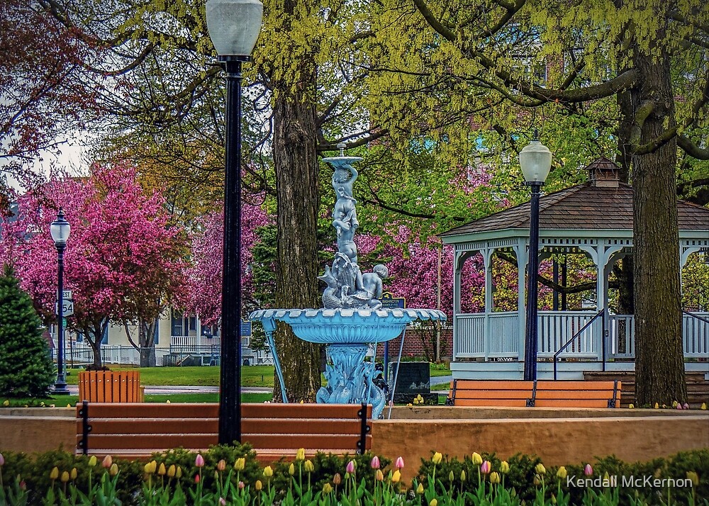 "Spring in the park!" by Kendall McKernon | Redbubble