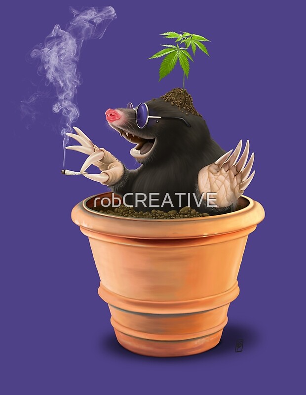 "Pot (Colour)" by robCREATIVE | Redbubble