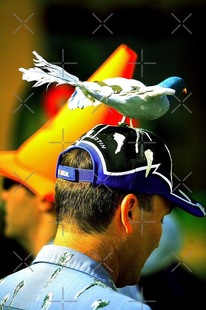 "I Tawt I Taw a Pooty Tat" by BVPHOTO | Redbubble