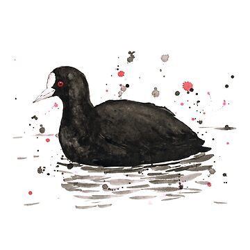 "An ink drawing of a common coot." Classic T-Shirt for Sale by ...