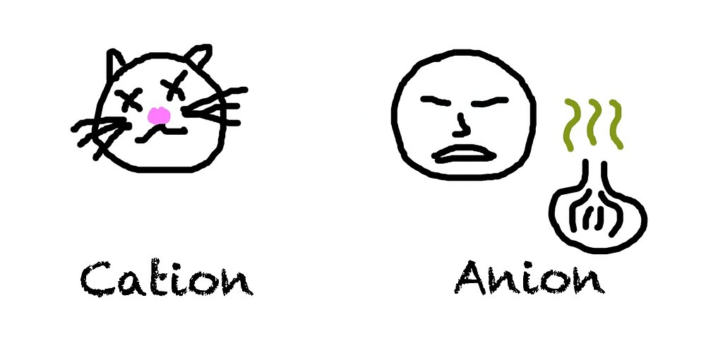 "Cations and Anions" by alta2017 | Redbubble