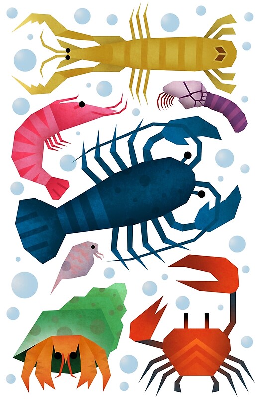 "Crustaceans (vivid colors)" by sloeilustracion | Redbubble