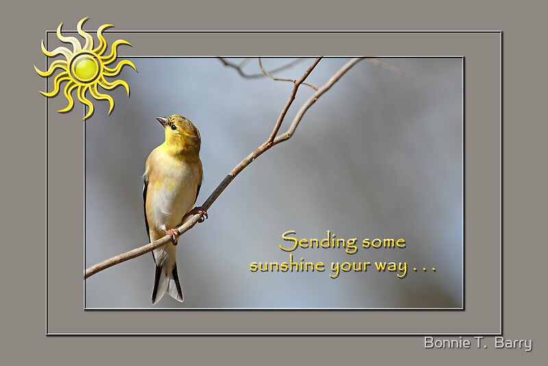 "Sending some sunshine your way . . ." by Bonnie T. Barry | Redbubble