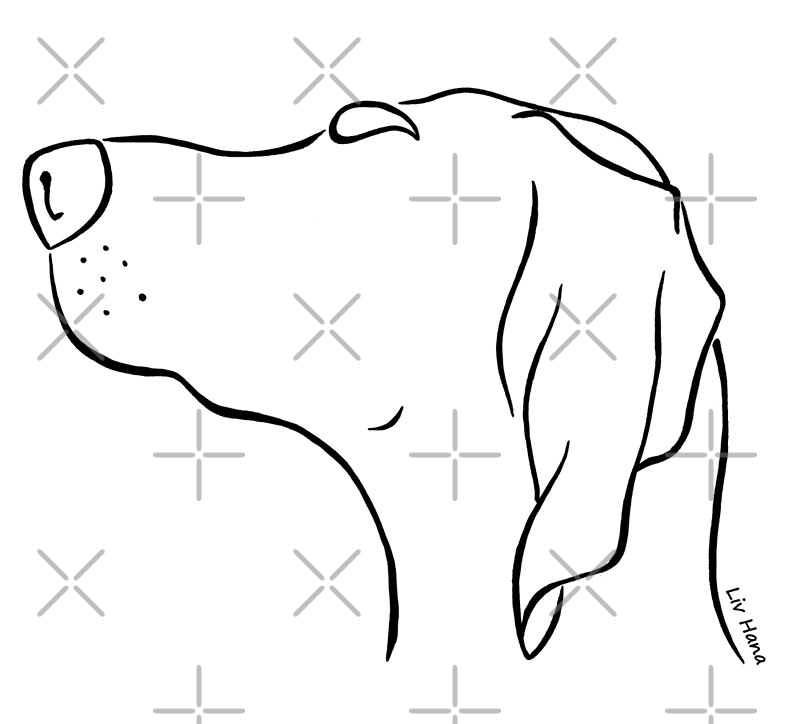 "Magyar Vizsla silhouette outline" by LivHana | Redbubble