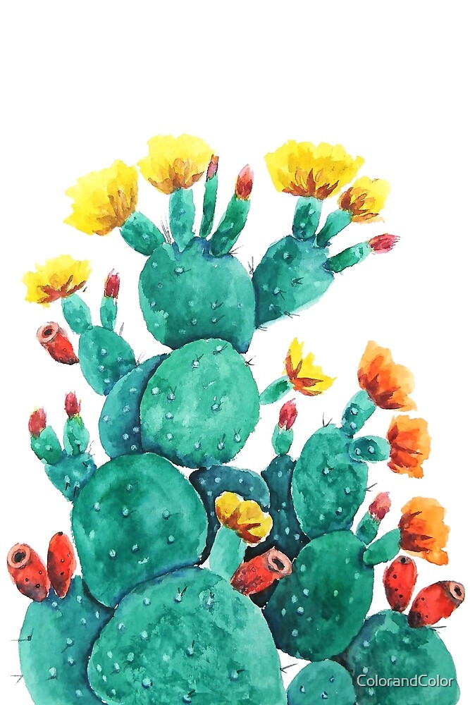 "flowering cactus watercolor arts " by ColorandColor | Redbubble