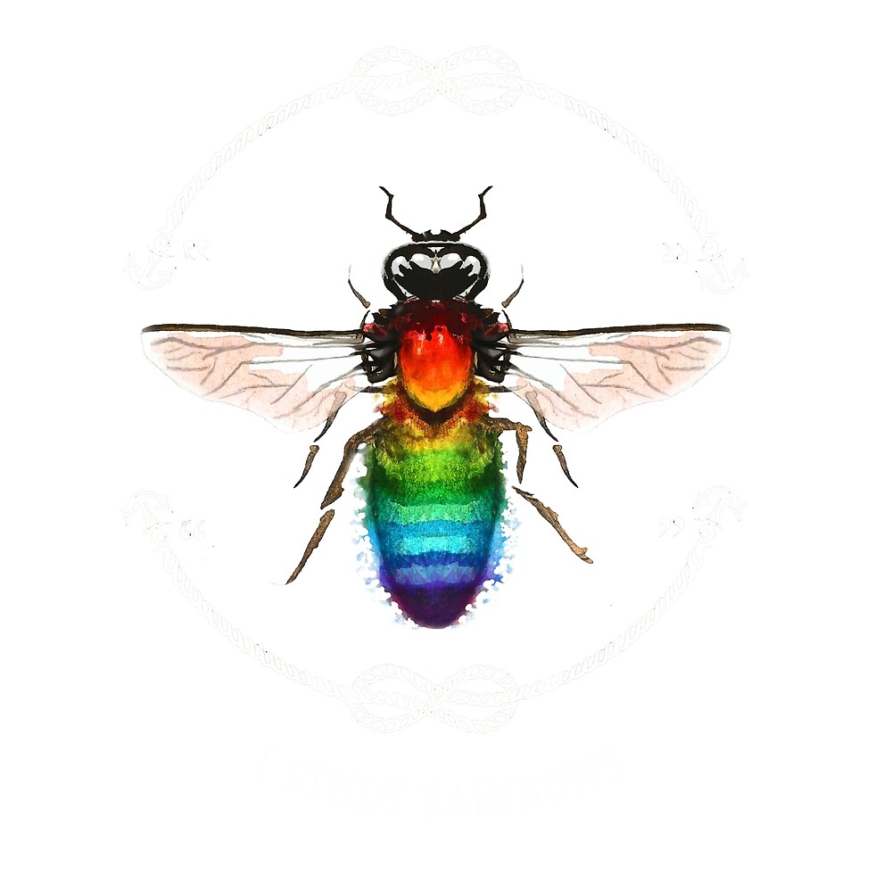 "Rainbow Bee I Study Rainbows - For Dark Backgrounds" by 1dfansgive ...