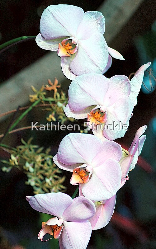 "Cascade Of Orchids" by Kathleen Struckle | Redbubble