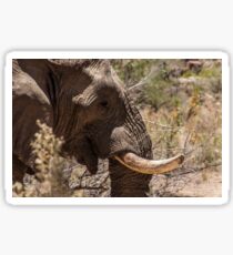 Gandalf: Stickers | Redbubble