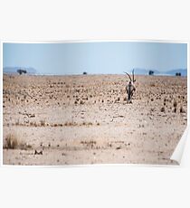Drought: Posters | Redbubble