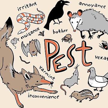 "Pest" Sticker for Sale by pinemoss | Redbubble