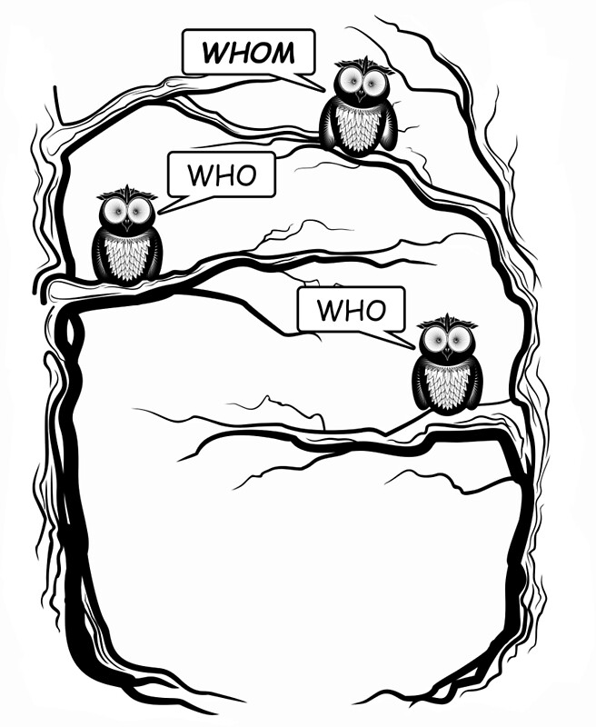 "Funny Owls Saying Who/Whom - Comic Cartoon" by andabelart | Redbubble