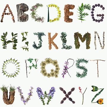 "Phonetic Nature Alphabet | Alphabet for kids | Kids letters, Plants ...