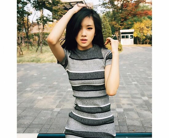 "Rose Pre Debut BLACKPINK" Posters by JBLUC | Redbubble