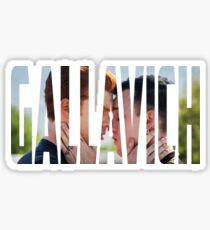 Shameless: Stickers | Redbubble