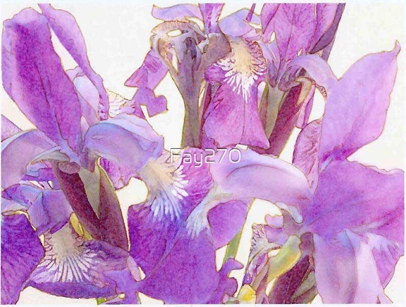 Iris Fantasy By Fay270 Redbubble