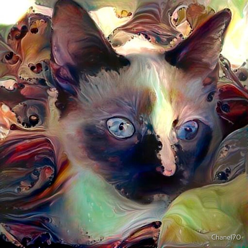 "Zoe Cat" by Chanel70 | Redbubble