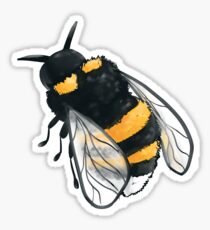 Bumblebee: Stickers | Redbubble