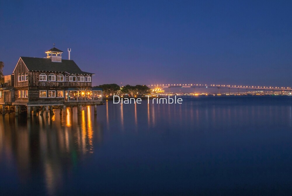 "San Diego's Seaport Village and Coronado Bridge" by Diane Trimble ...