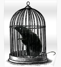 Smashing Pumpkins Posters | Redbubble