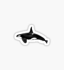 Orca: Stickers | Redbubble