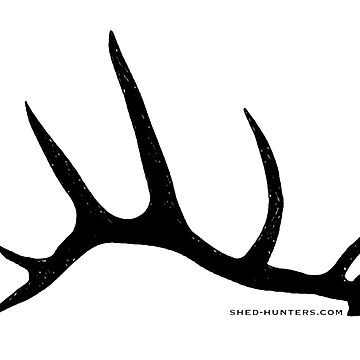 "Elk Antler Shed Hunters" Canvas Print for Sale by ShedHunters | Redbubble