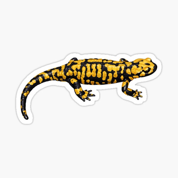 Salamander Stickers | Redbubble