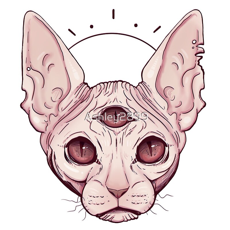 "Albino three eyed sphynx cat" by Ashley2899 | Redbubble