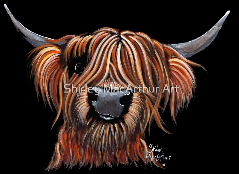 "Highland Hairy Cow ' GIGI ' by Shirley MacArthur" by Shirley MacArthur ...
