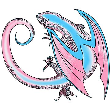 "Transgender Pride Dragon " Sticker for Sale by AlanaReneArt | Redbubble