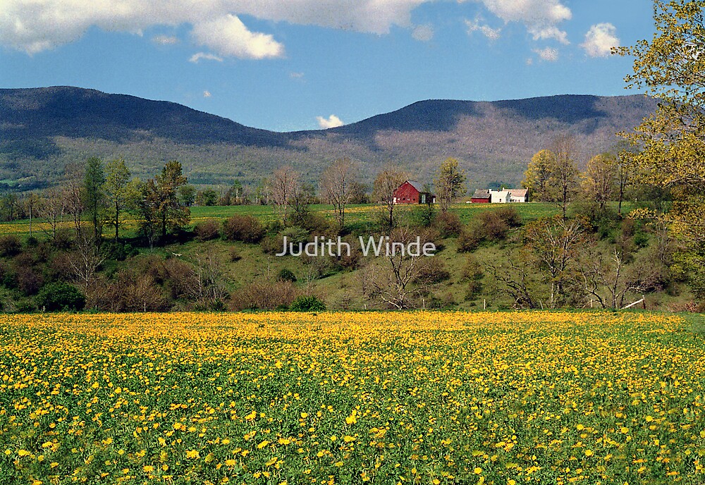 "Springtime in Vermont" by Judith Winde | Redbubble