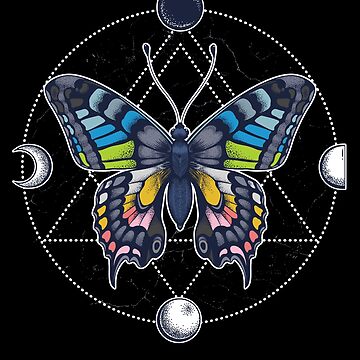 "Queer Pride Flag Butterfly" Poster for Sale by Clara Hollins | Redbubble