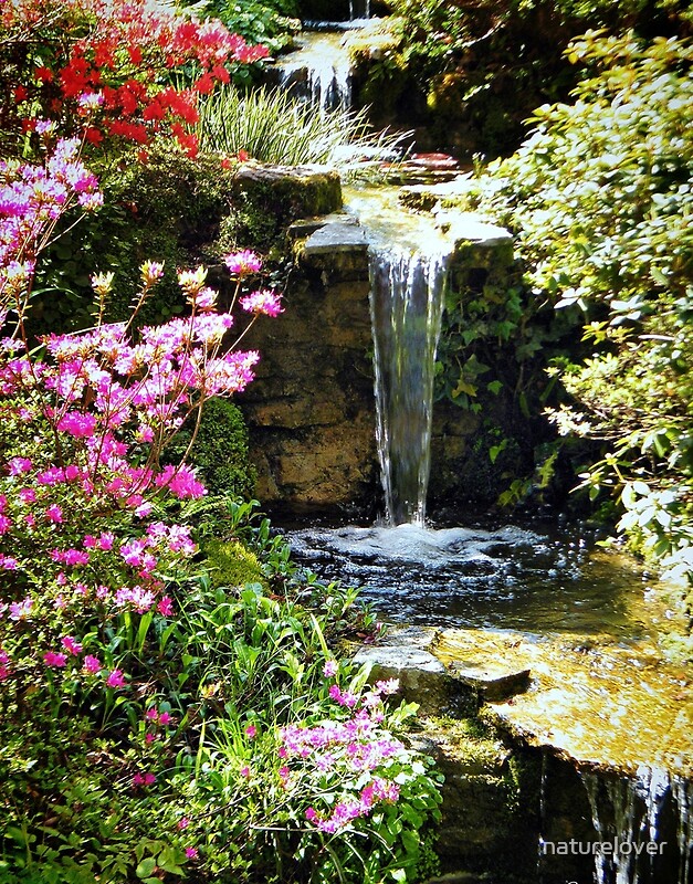 "A Splash Of Colour and Water" by naturelover | Redbubble