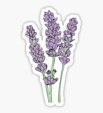 Lavender Stickers | Redbubble