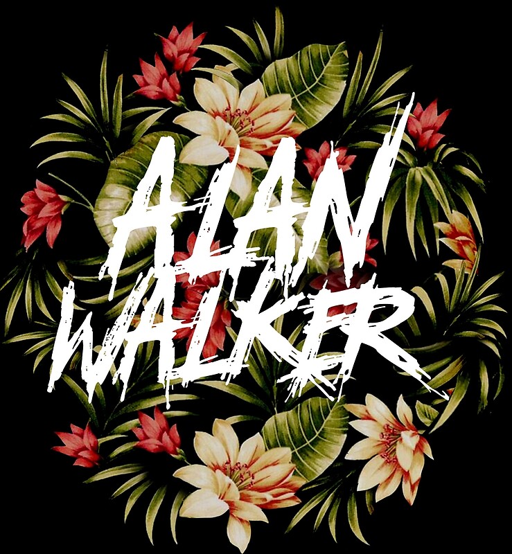 Alan Walker: Posters | Redbubble
