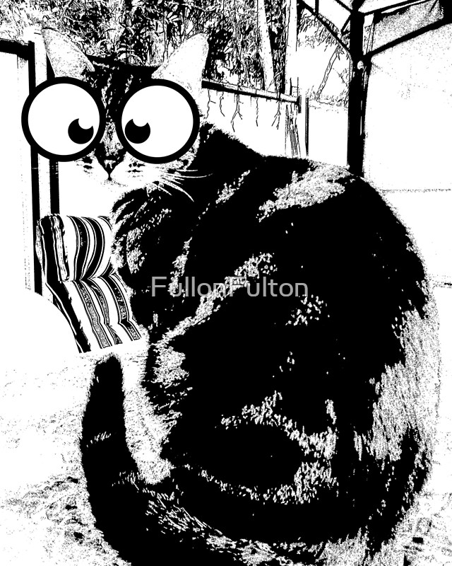 "Googly Eyed Cat" by FullonFulton | Redbubble