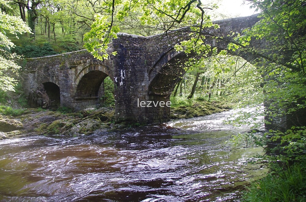 "Holne Bridge, Dartmoor" by lezvee | Redbubble
