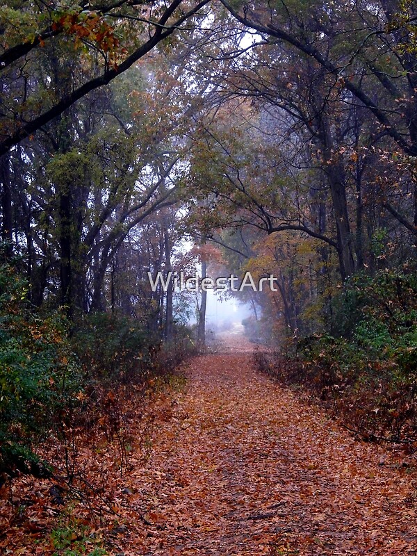"That Scary Trail Again..." by WildestArt | Redbubble