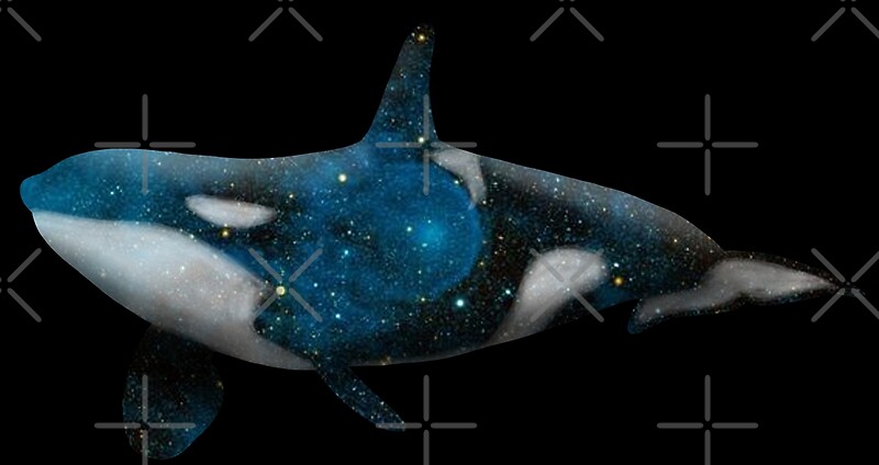 "Galaxy Orca" by KristalStittle | Redbubble