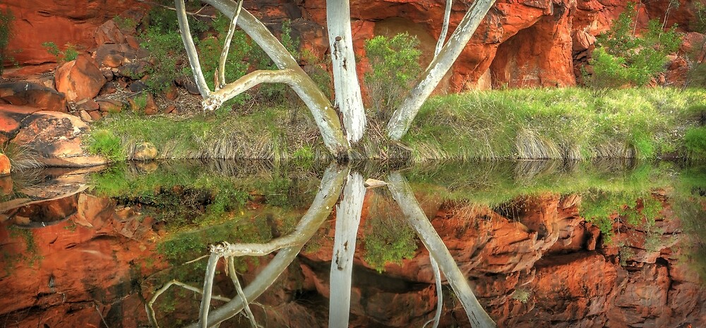 "Durba Springs, Western Australia" by Kevin McGennan | Redbubble