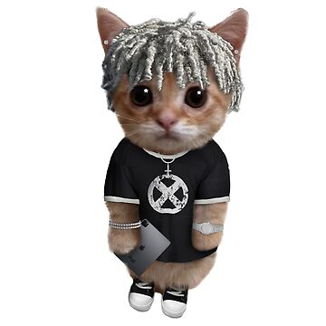 "Ken Carson Kitty" Sticker for Sale by drainsupply | Redbubble