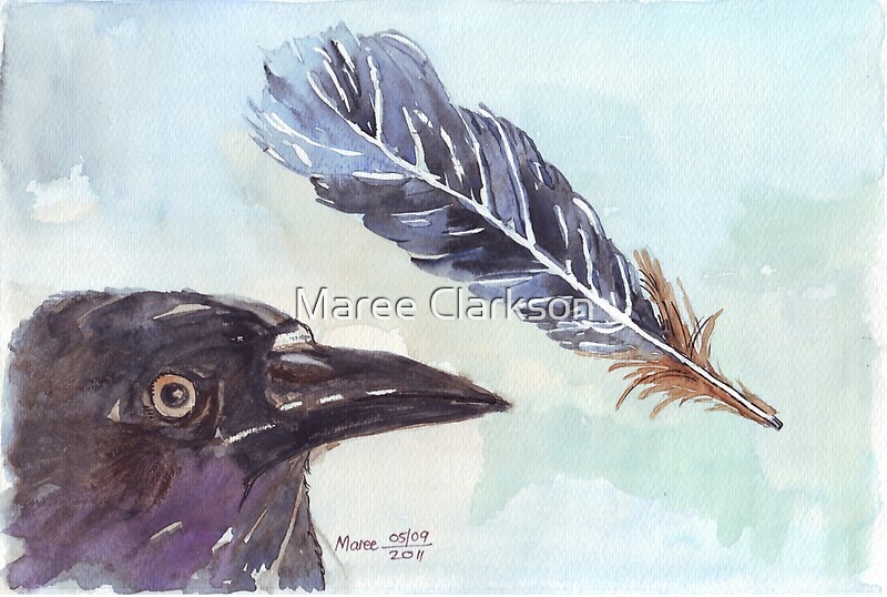 "A Crow's Wing Feather" by Maree Clarkson | Redbubble
