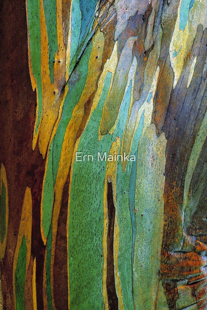 "Snow Gum Bark" by Ern Mainka | Redbubble