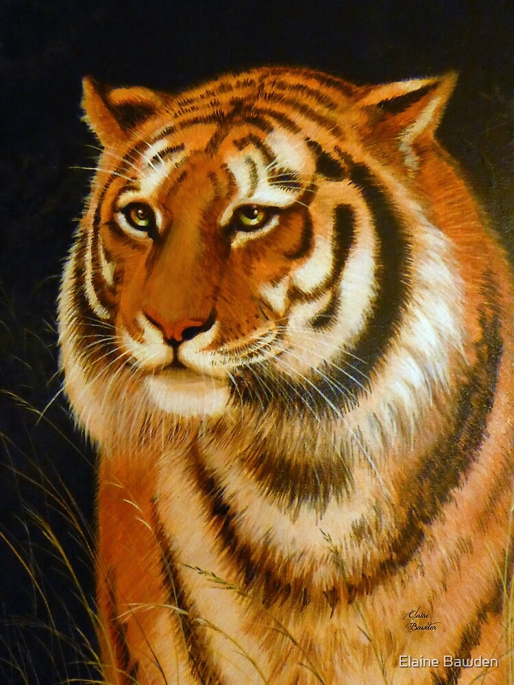"TIGER ( Acrylic painting on canvas. )" by Elaine Bawden | Redbubble