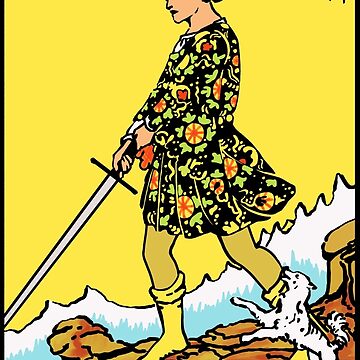 "alber – the fool's guard" Essential T-Shirt for Sale by Lee Connor ...