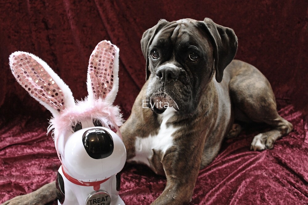 "You Can't Fool Me... It's Not The Easter Bunny - Boxer Dogs Series" by ...
