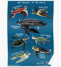 Conservation Wildlife Posters | Redbubble