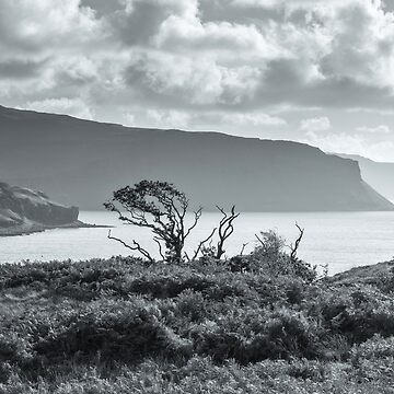 "Gribun across Loch na Keal Isle of Mull Scotland" Poster for Sale by ...